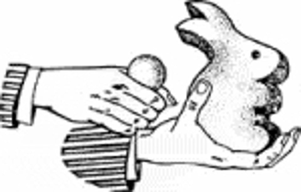 Miracle Rabbit — Madhatter Magic Shop