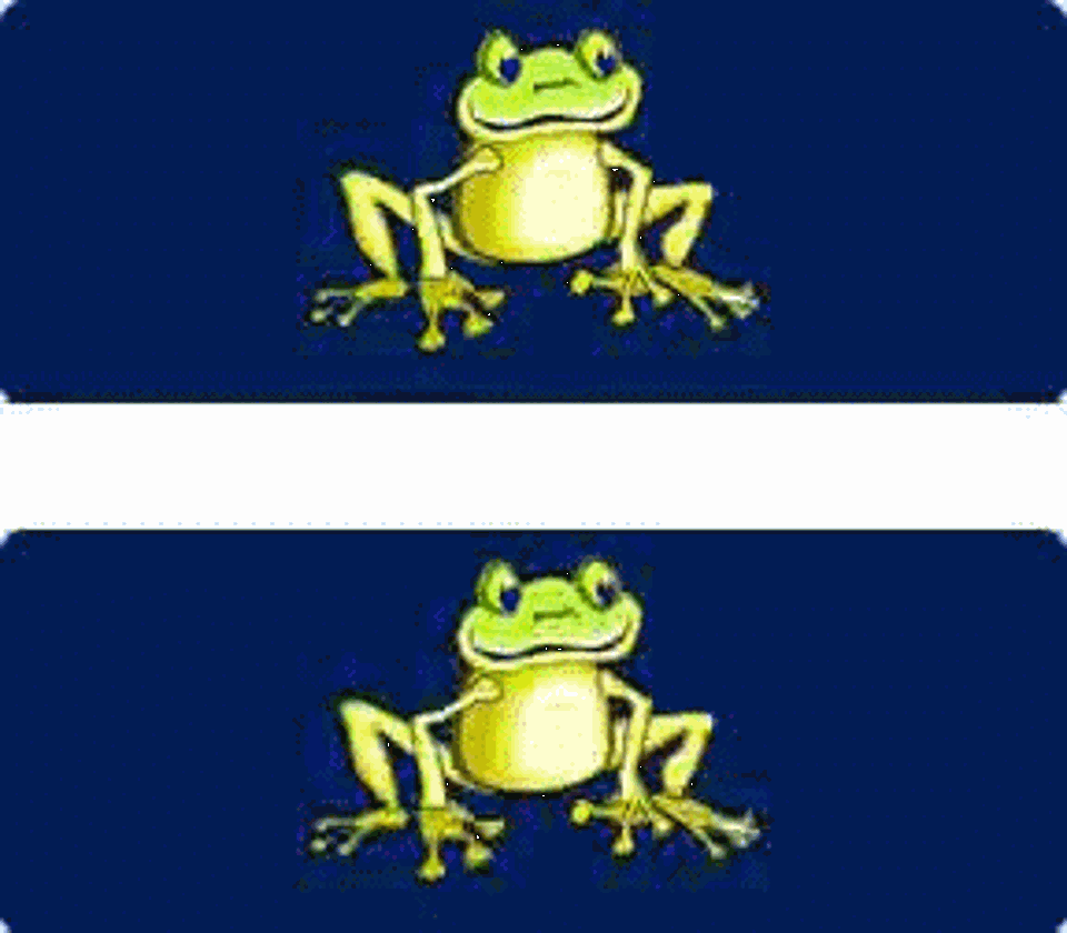 Jumping Frog Paddle Set — Madhatter Magic Shop