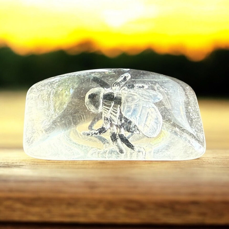 Bug in Ice Cube Prank-Dozen — Madhatter Magic Shop