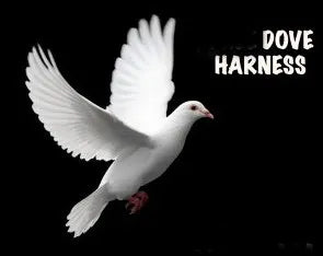 Barehanded Dove Production (Invisible Dove Harness) — Madhatter Magic Shop